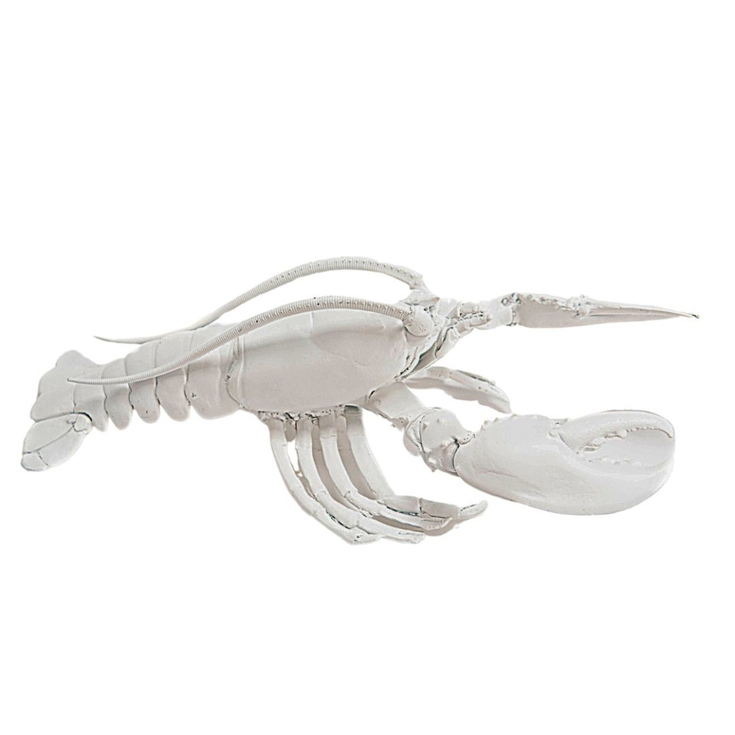 Homard Blanc Amadeus