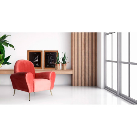 Tableau x2 Shoes 40cm Last Deco 22957