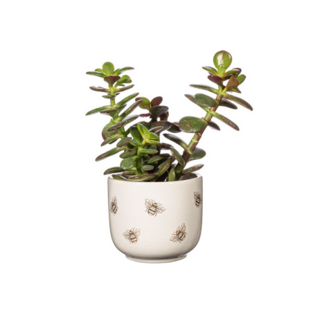 Mini Cache-Pot Queen Bee S-FL1143-B
